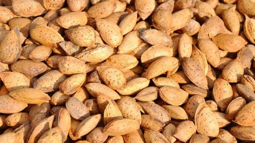 Beneficios del Almendro: Salud y Cultivo Sostenible