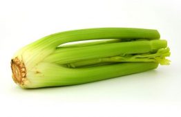 Apio | Características, variedades, tamaño, cultivo, beneficios