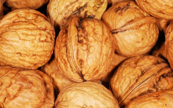 Nogal: características, cultivo, usos y beneficios nutricionales