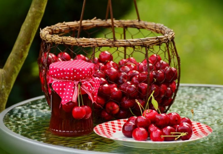 Cerezo árbol: características, usos, cultivo y beneficios del fruto