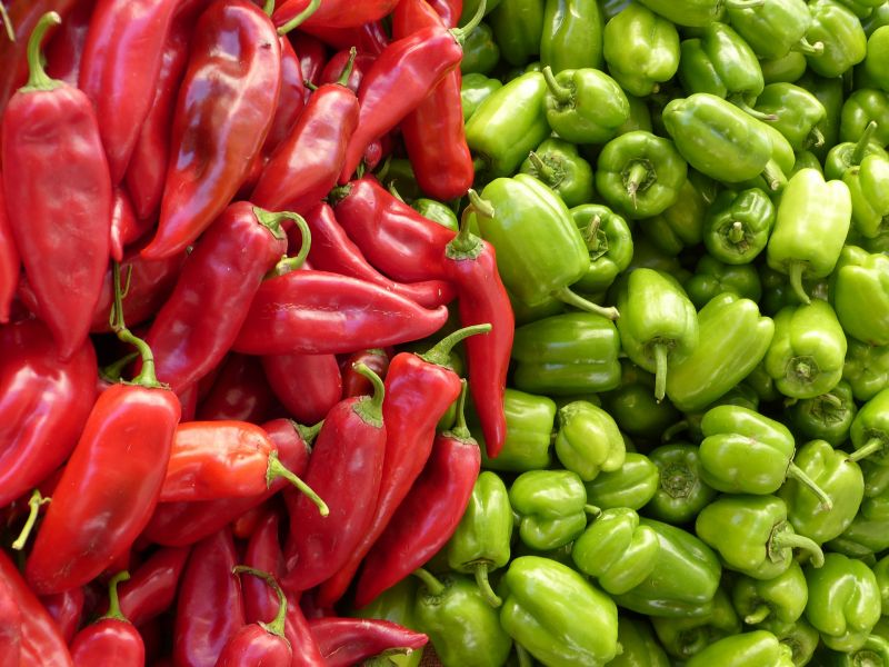 Pimiento | Características, cultivo, propiedades, variedades | Planta