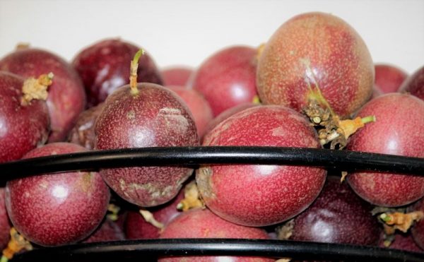 Maracuyá | Características, propiedades, beneficios, flor, variedades