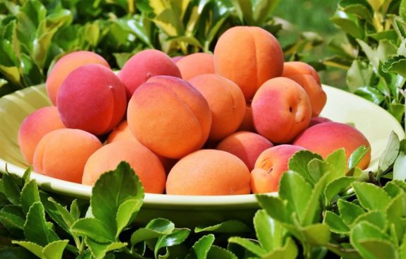 Albaricoque | Características, consumo, tipos, beneficios y propiedades