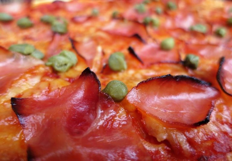 Alcaparras | Características, cultivo, propiedades y beneficios | Alcaparro