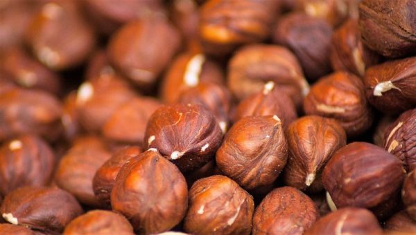 Avellana | Características, tipos, usos, beneficios y propiedades