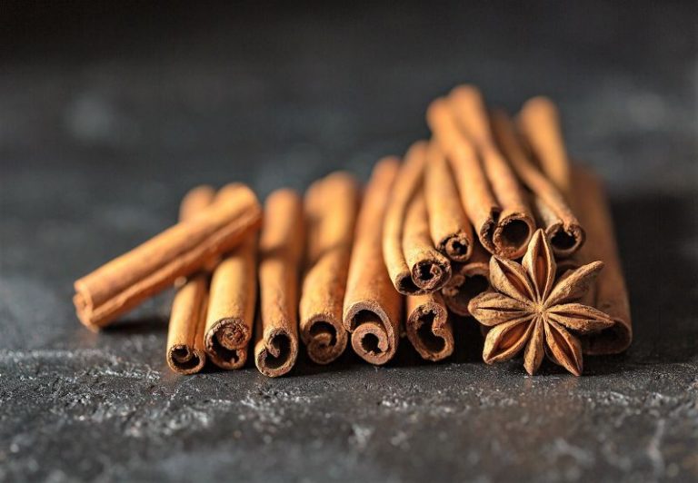 Canela | Características, tipos, usos, beneficios y propiedades | Especia