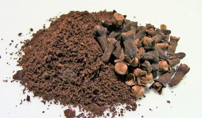 Clavo de olor | Origen, características, beneficios y propiedades | Clavero