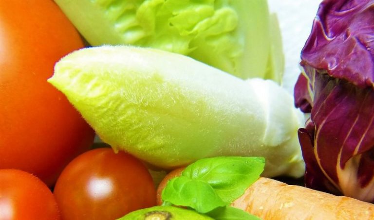 Endibia | Características, origen, beneficios y propiedades, variedades