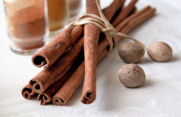 Canela | Características, tipos, usos, beneficios y propiedades | Especia