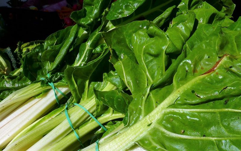 Acelga | Características, cultivo, propiedades, beneficios | Hortaliza