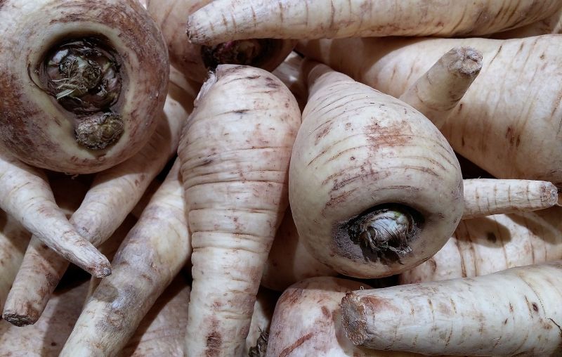 Chirivía: Propiedades, Cultivo y Usos Culinarios Saludables