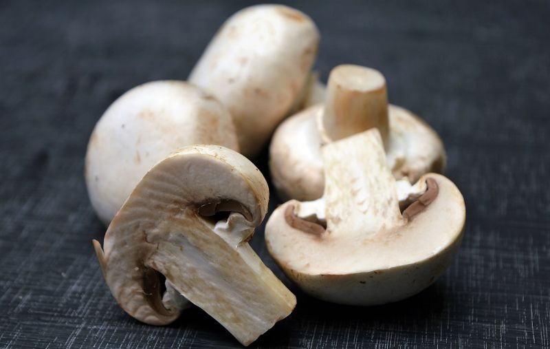 Champiñón | Características, cultivo, propiedades, beneficios | Hongo