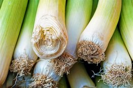 Puerro | Características, cultivo, beneficios y propiedades | Planta