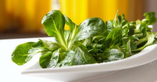 Canónigos | Qué son, características, beneficios y propiedades, cultivo