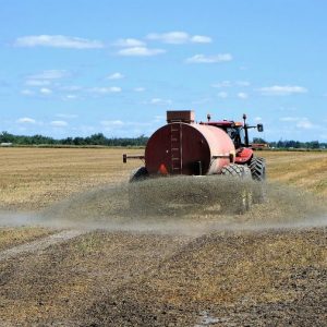 Rastrojo | Qué es, proceso, tipos, distribución, importancia ...