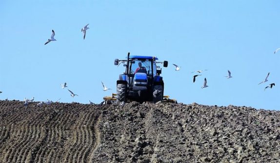 Labranza | Qué es, cómo se hace, tipos, convencional, cero, mínima