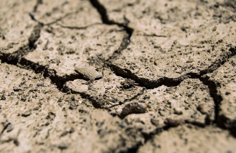 Edafología: estudio del suelo y su gestión sostenible