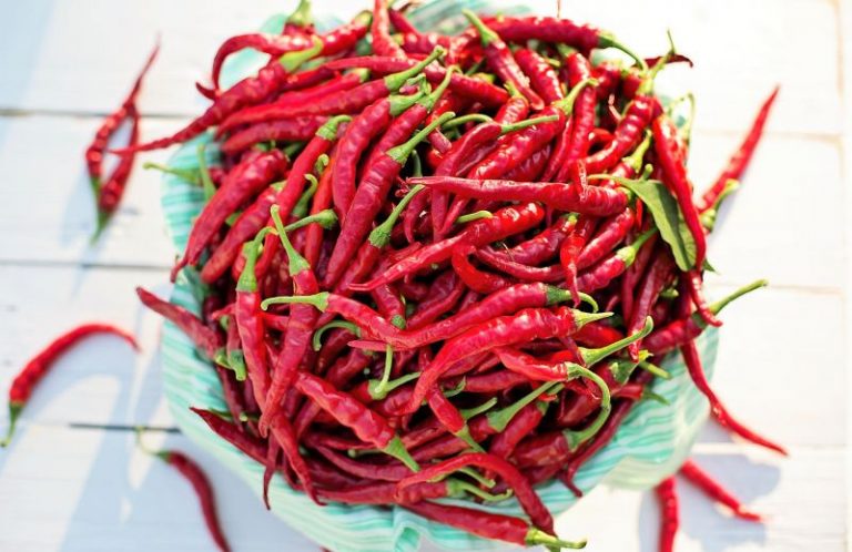 Cayena: cultivo, usos culinarios y cuidados