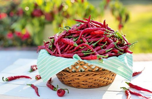 Cayena: cultivo, usos culinarios y cuidados
