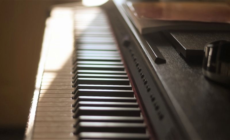 Ébano: propiedades, usos y conservación