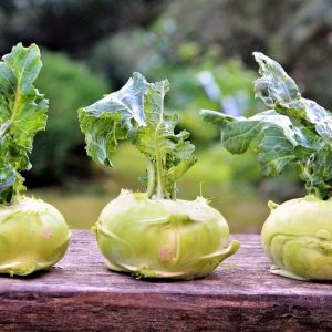 Ajonjolí | Características, cultivo, propiedades, siembra | Planta